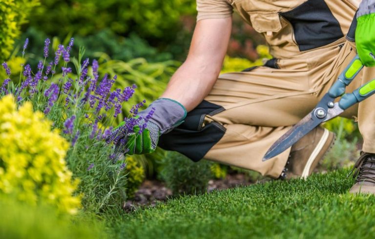 Navigating Safety in Garden Machinery: A Guide to Choosing the Right ...